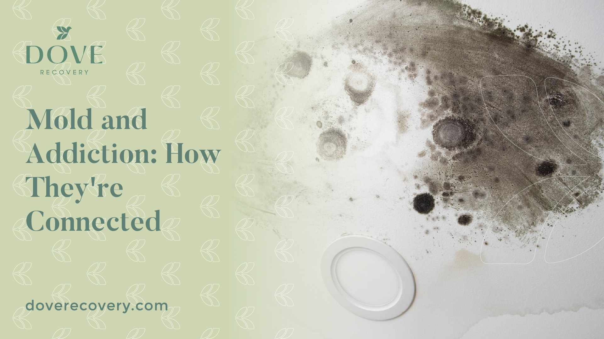 Mold and Addiction: How They're Connected